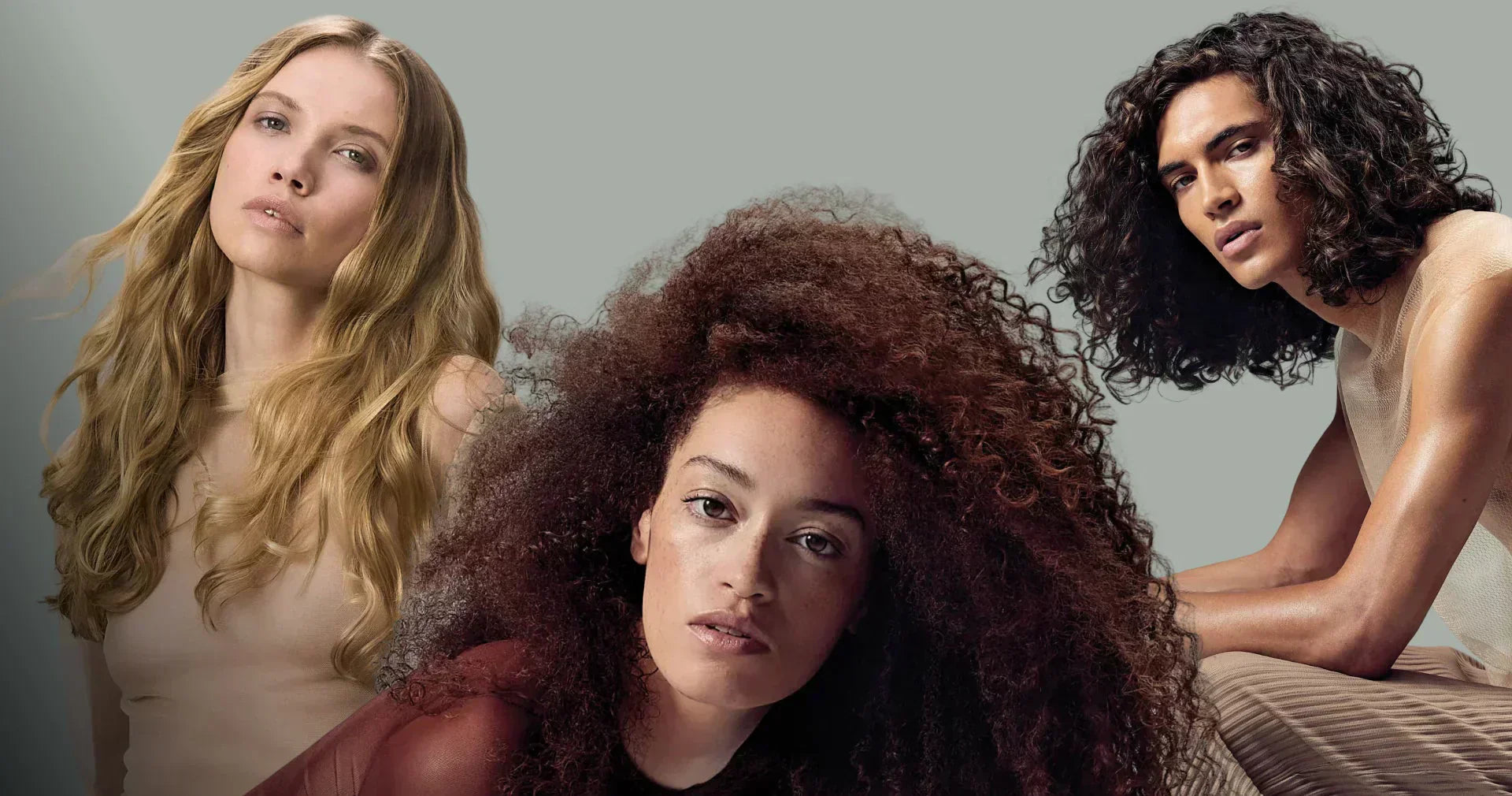 Il segreto dei ricci perfetti: perché la struttura conta...e come valo ...